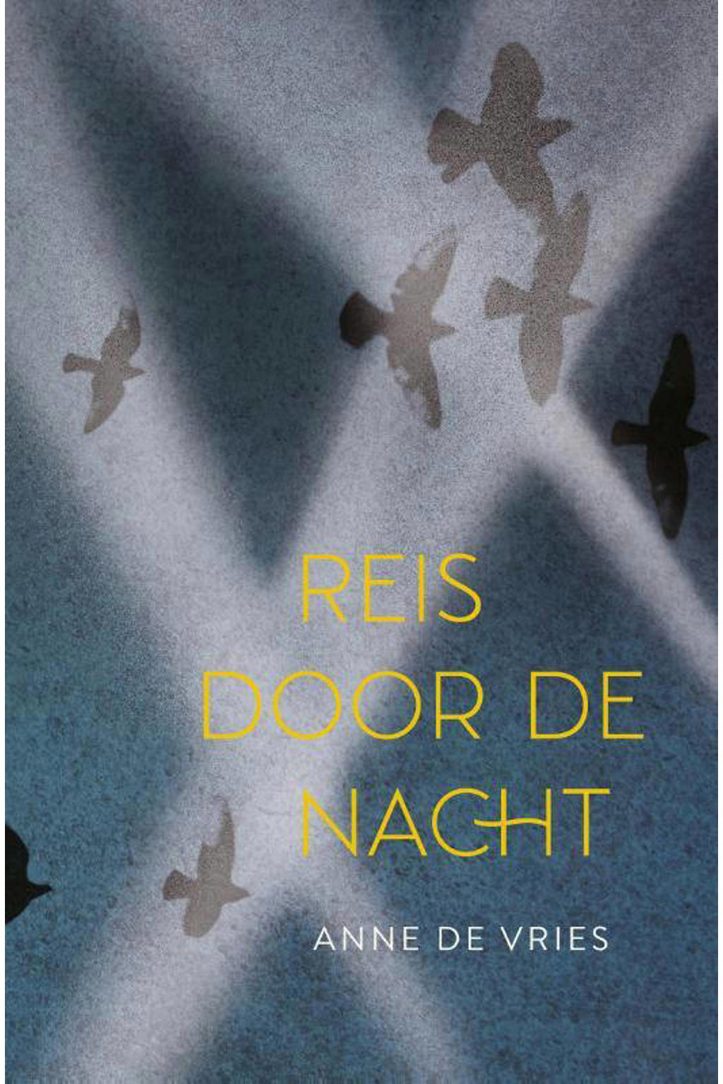 Anne de Vries Reis door de nacht | wehkamp