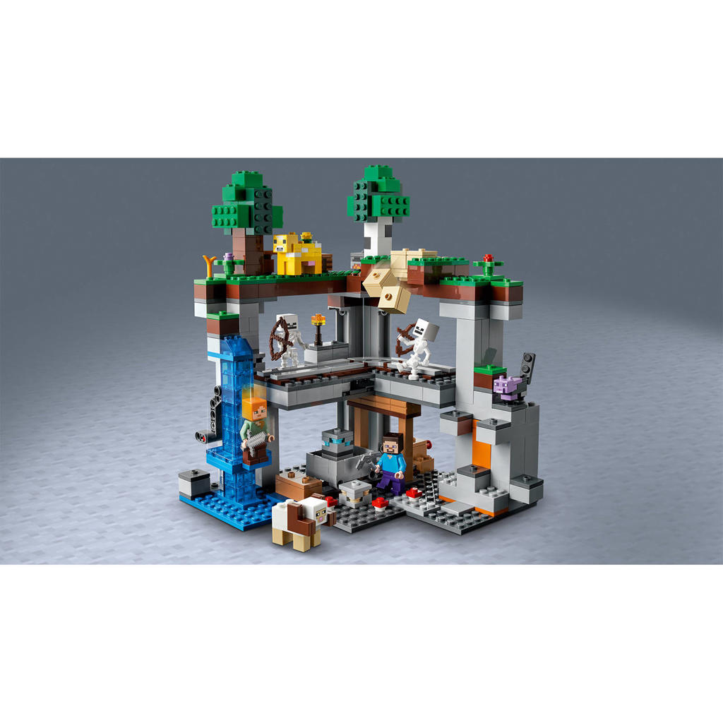 LEGO Minecraft Het Allereerste Avontuur 21169 | wehkamp