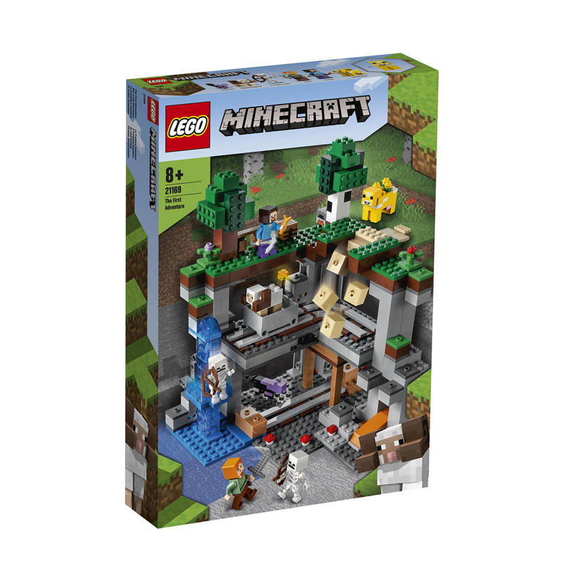 LEGO Minecraft Het Allereerste Avontuur 21169 | wehkamp