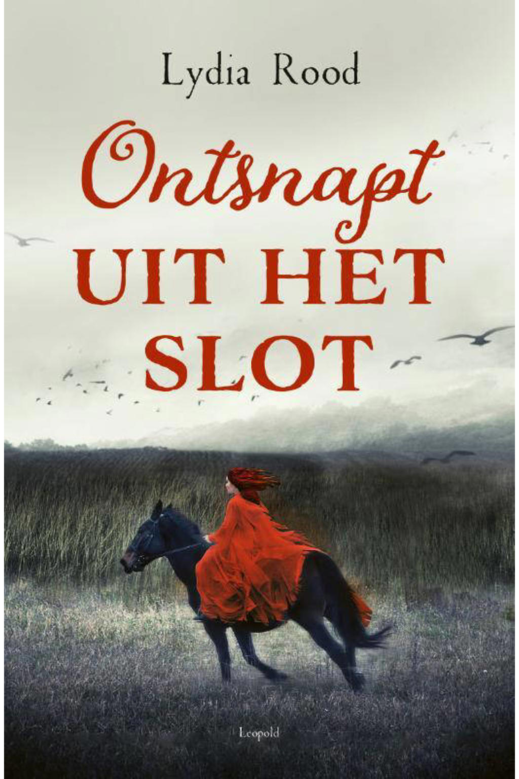 Lydia Rood Ontsnapt uit het slot | wehkamp