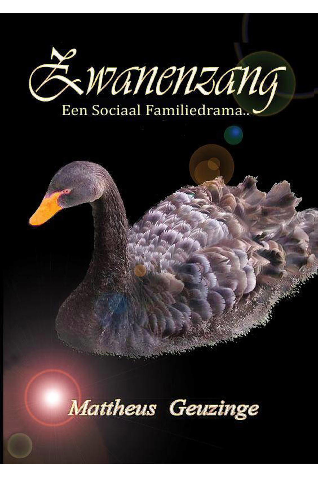 Mattheus Geuzinge Zwanenzang | wehkamp