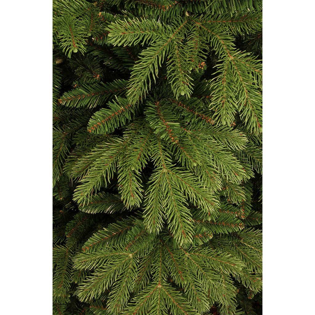 Black Box Trees kerstboom Brampton (h120xø91 cm) | wehkamp