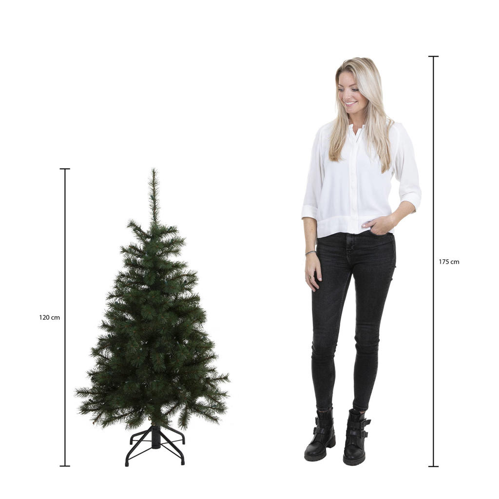 Black Box Trees kerstboom Brampton (h120xø91 cm) | wehkamp