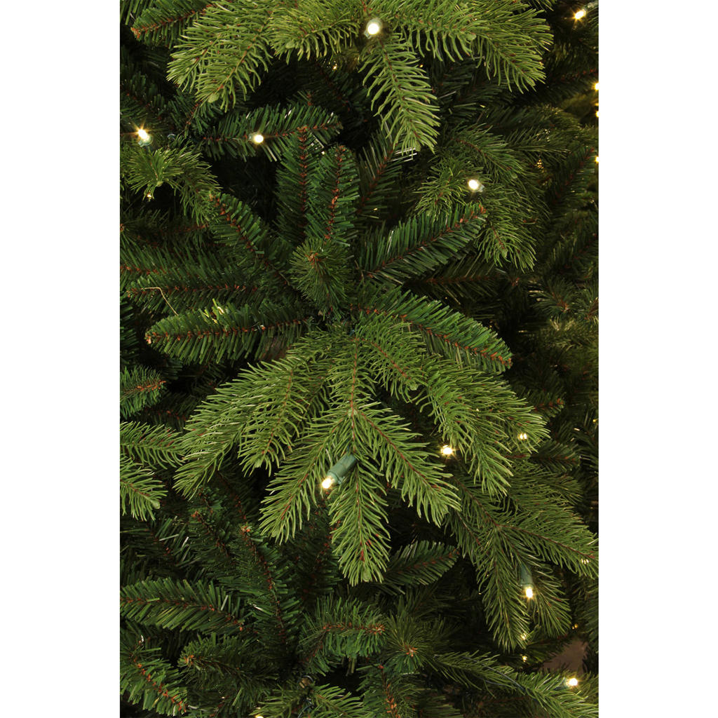 Black Box Trees verlichte kerstboom Brampton (h120xø91 cm) | wehkamp