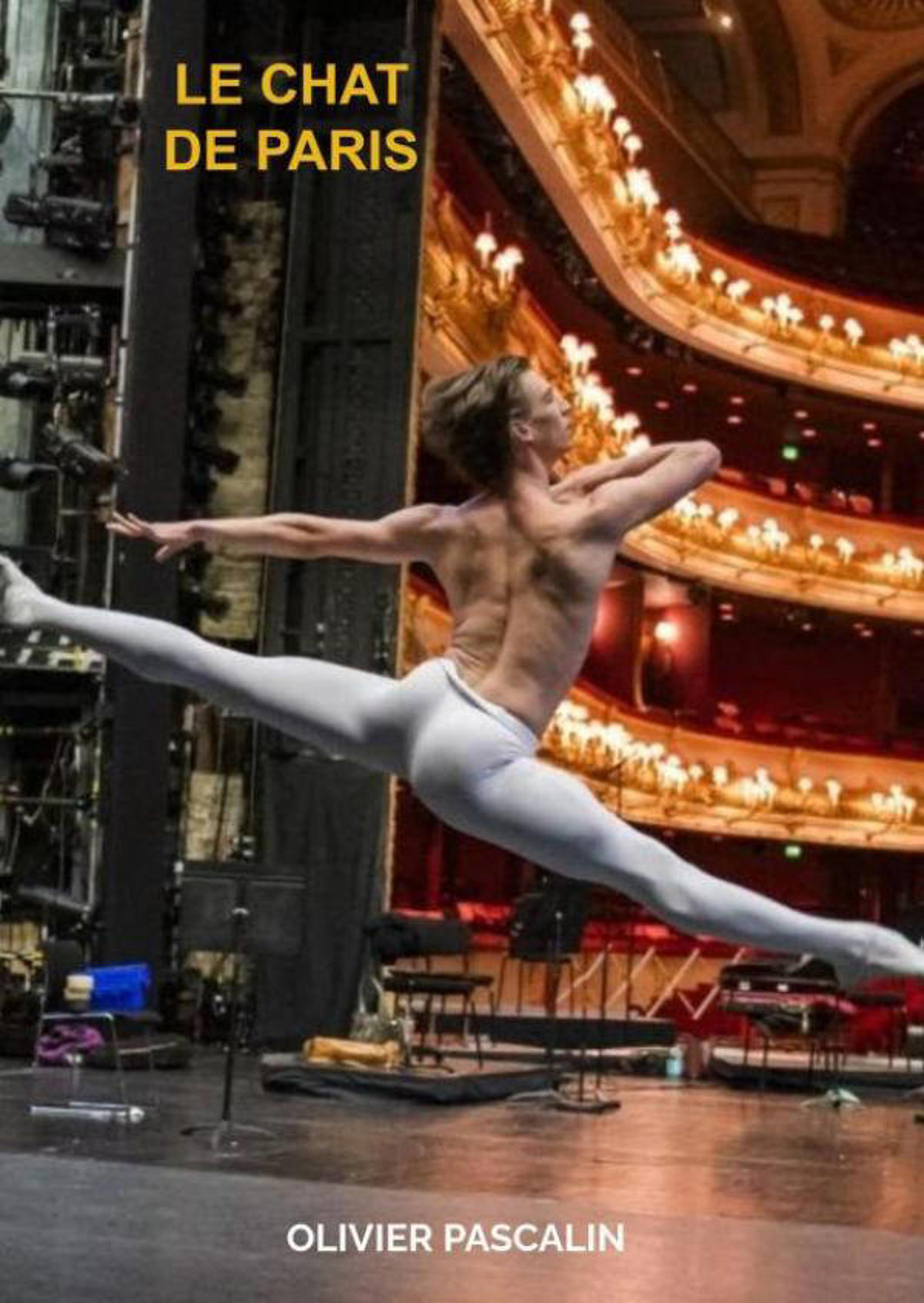 Olivier Pascalin LE CHAT DE PARIS | wehkamp