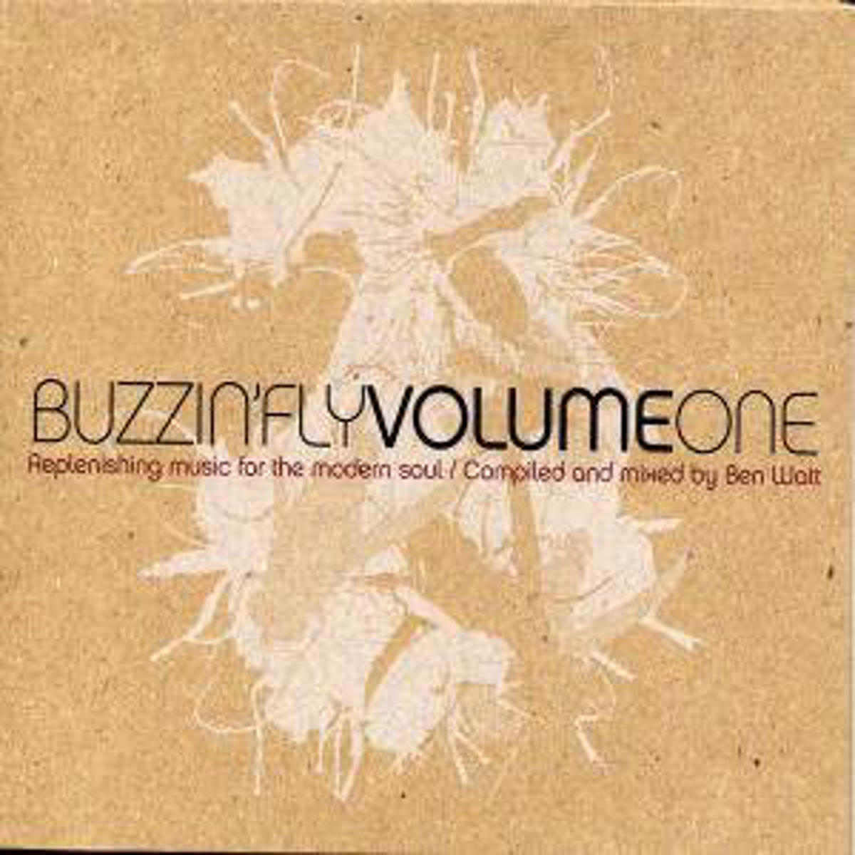 Various Artists - Buzzin Fly Vol 1 (CD) | wehkamp