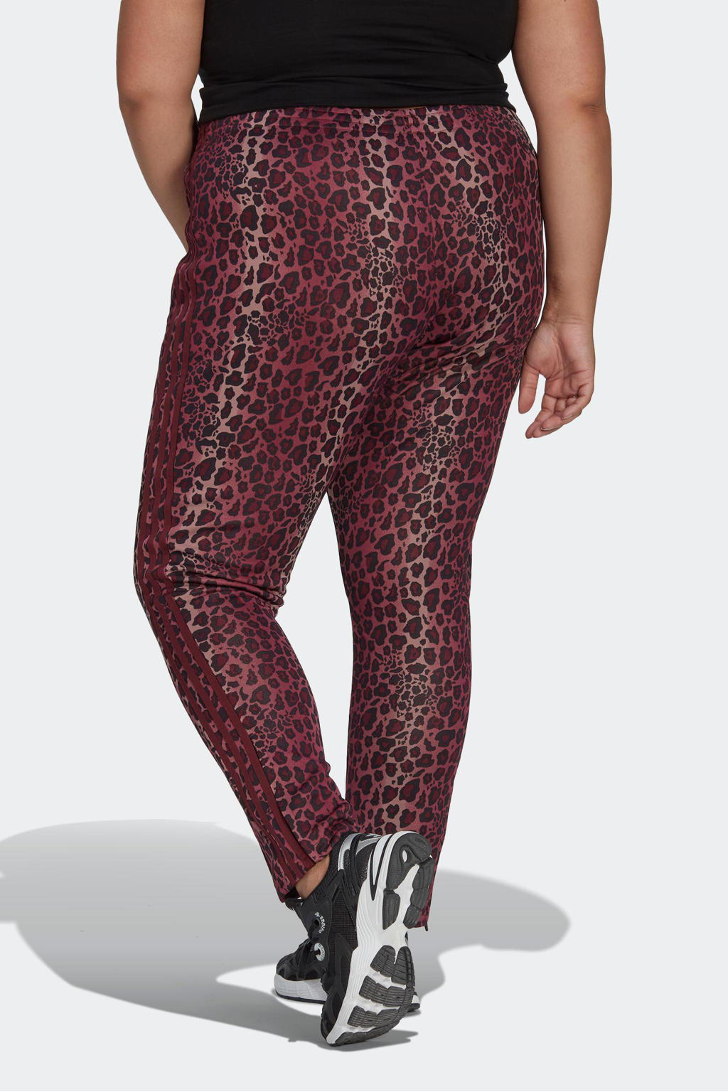 adidas Originals Plus Size broek donkerrood panterprint | wehkamp