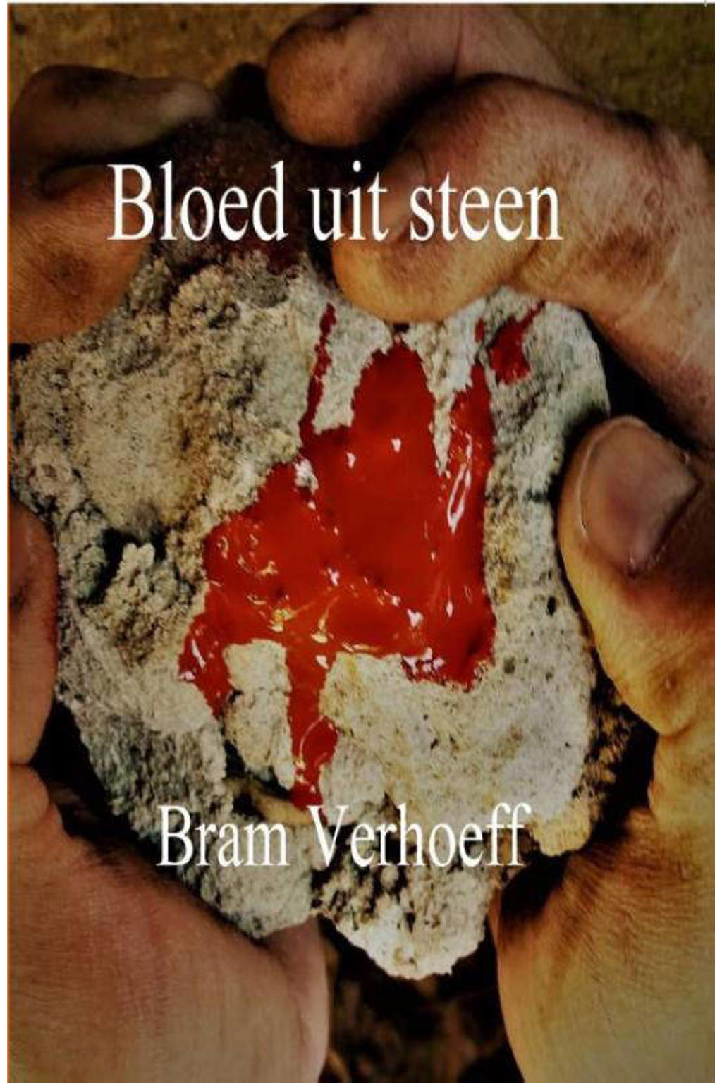 Bram Verhoeff Bloed uit steen | wehkamp