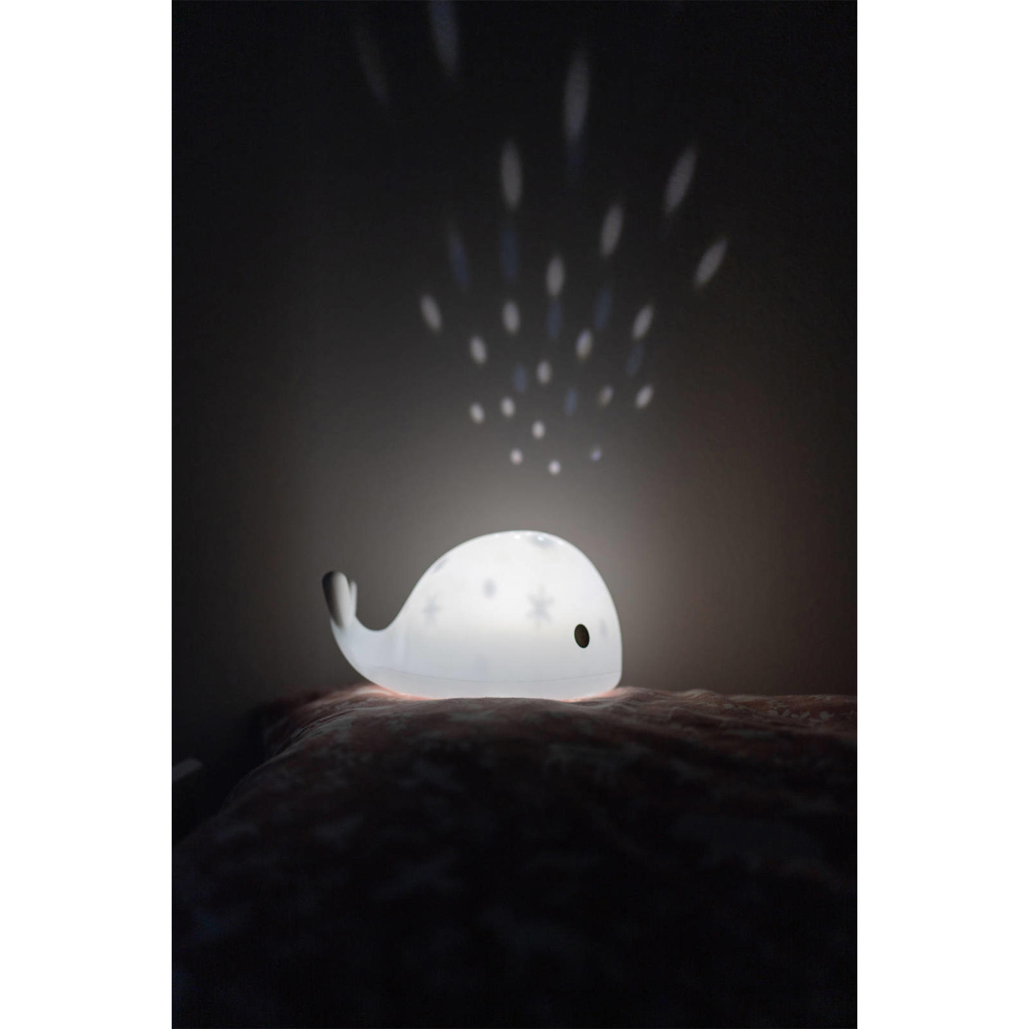 Flow Amsterdam Projector Moby walvis - wonenmetlef.nl