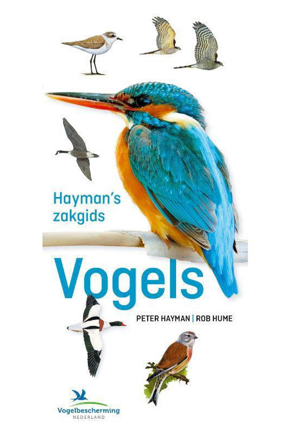 Peter Hayman en Rob Hume Hayman's Zakgids Vogels | wehkamp