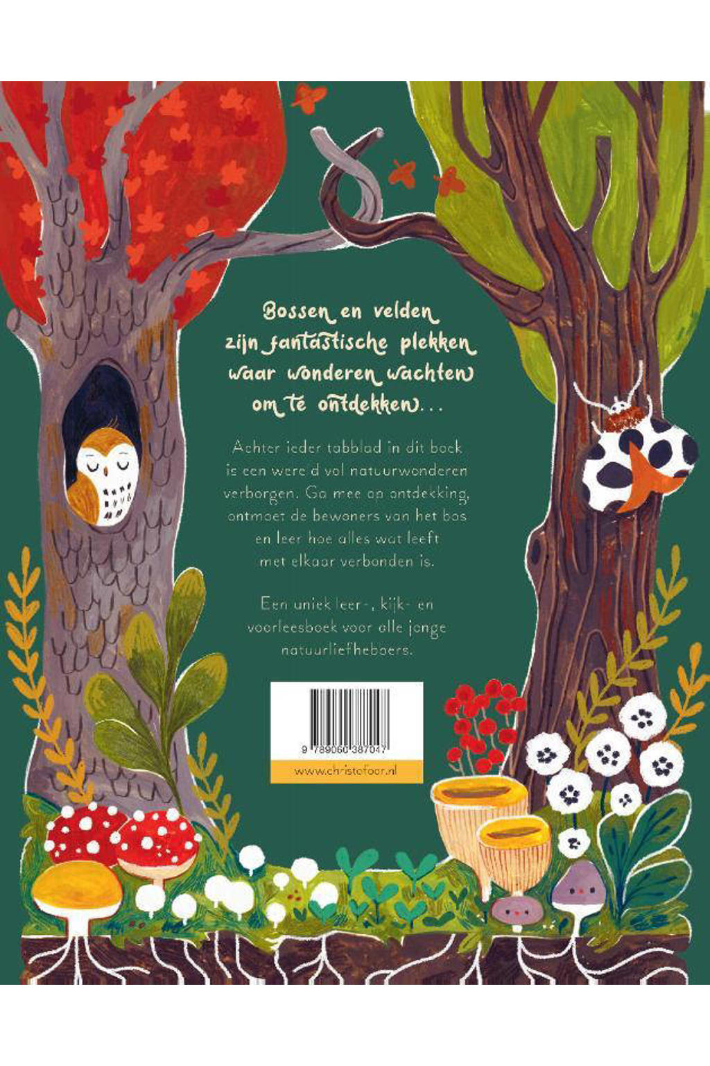 Gabby Dawnay Een woud vol wonderen | wehkamp