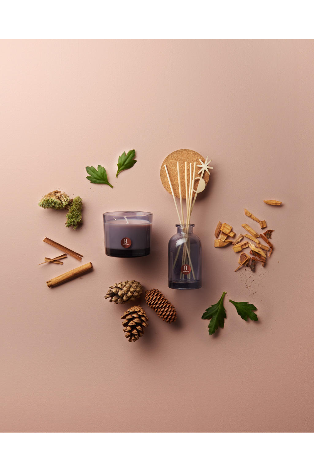 Bolsius geurstokjes True Joy - Secret Forest (80 ml) | wehkamp Bolsius geurstokjes True Joy - Secret Forest (80 ml) | wehkamp