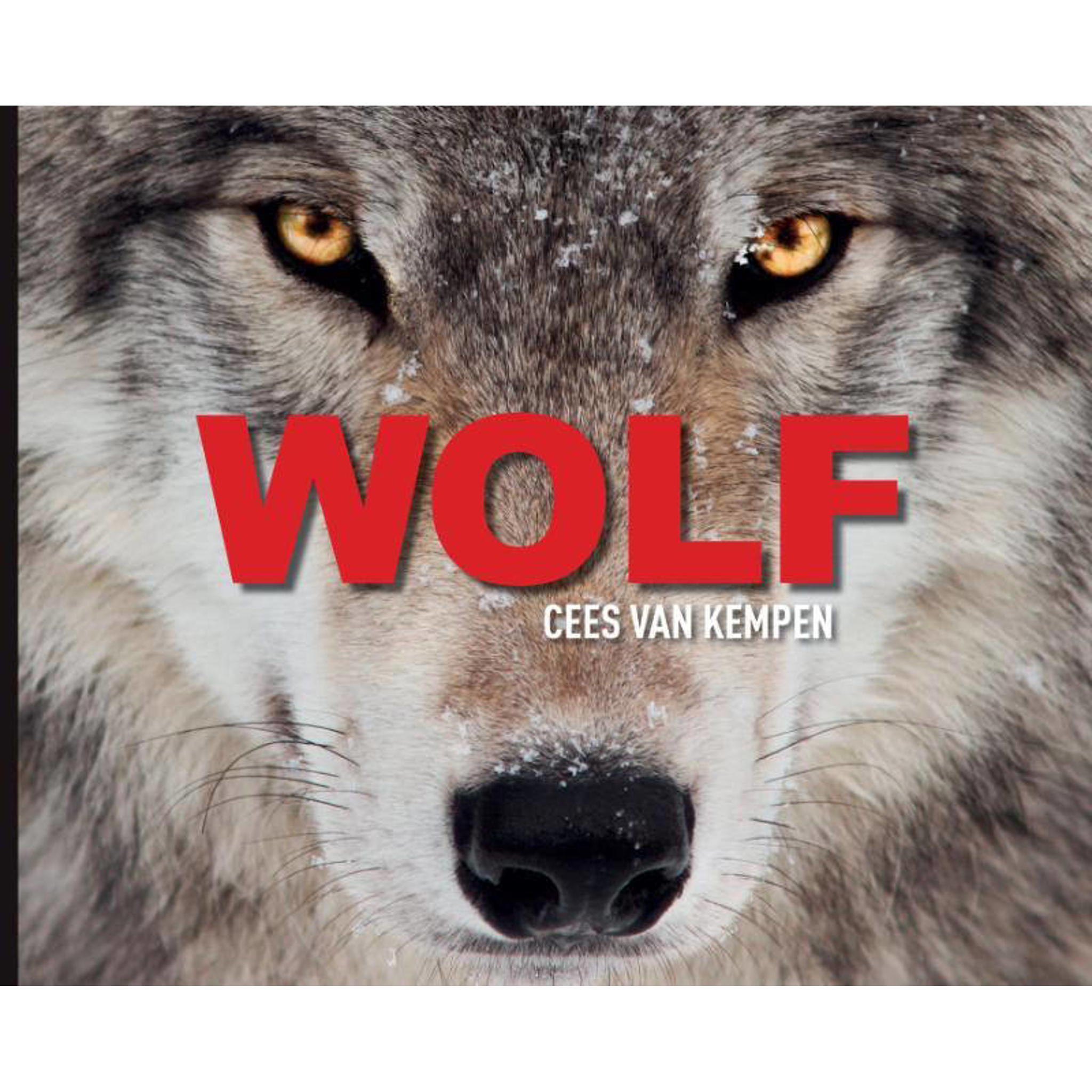 Cees van Kempen Wolf kopen? | Morgen in huis | wehkamp