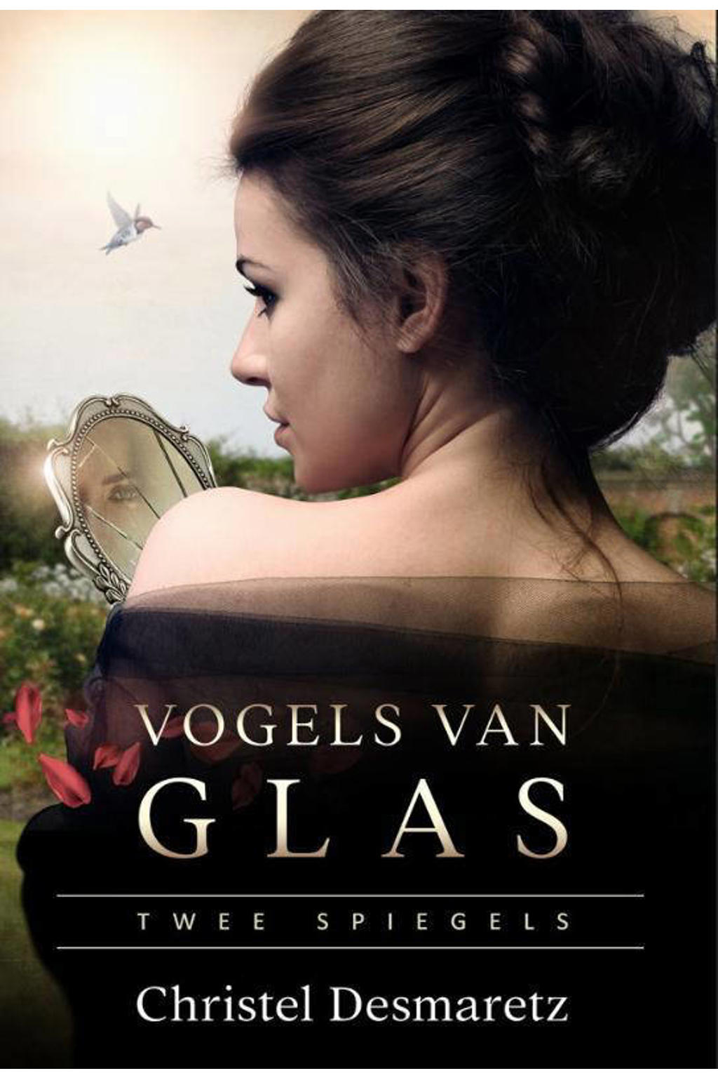 Christel Desmaretz Vogels van glas | wehkamp