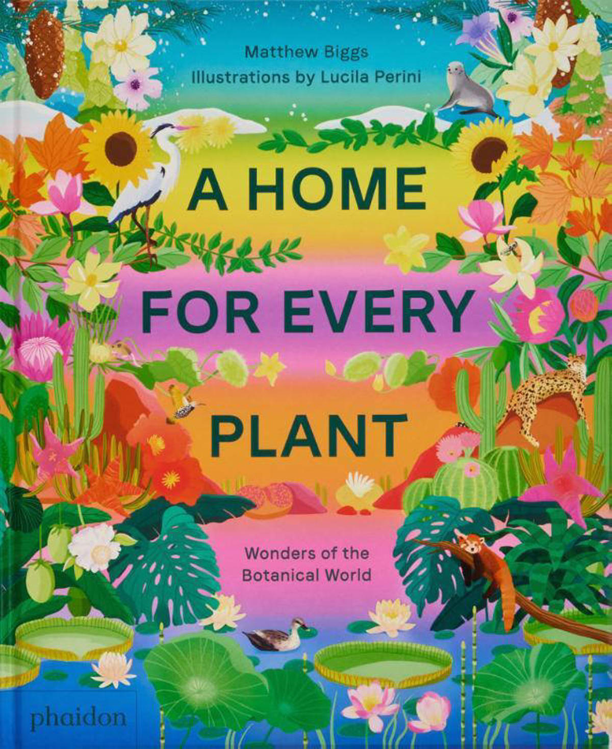 Matthew Biggs en Lucila Perini A Home for Every Plant | wehkamp