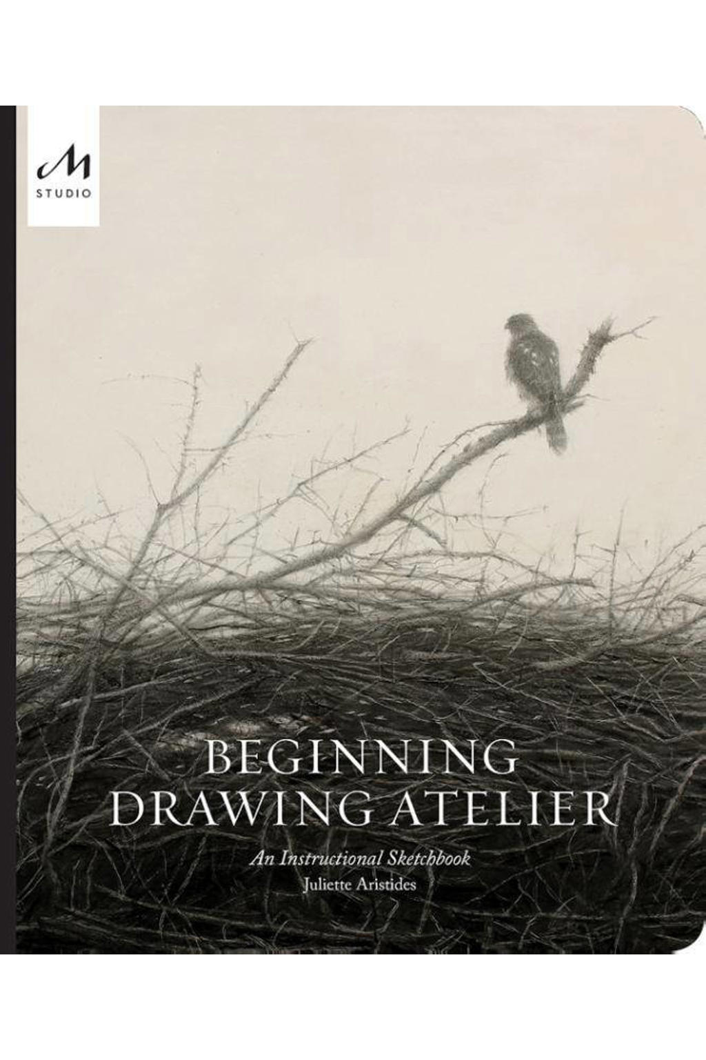 Juliette Aristides Beginning Drawing Atelier | wehkamp