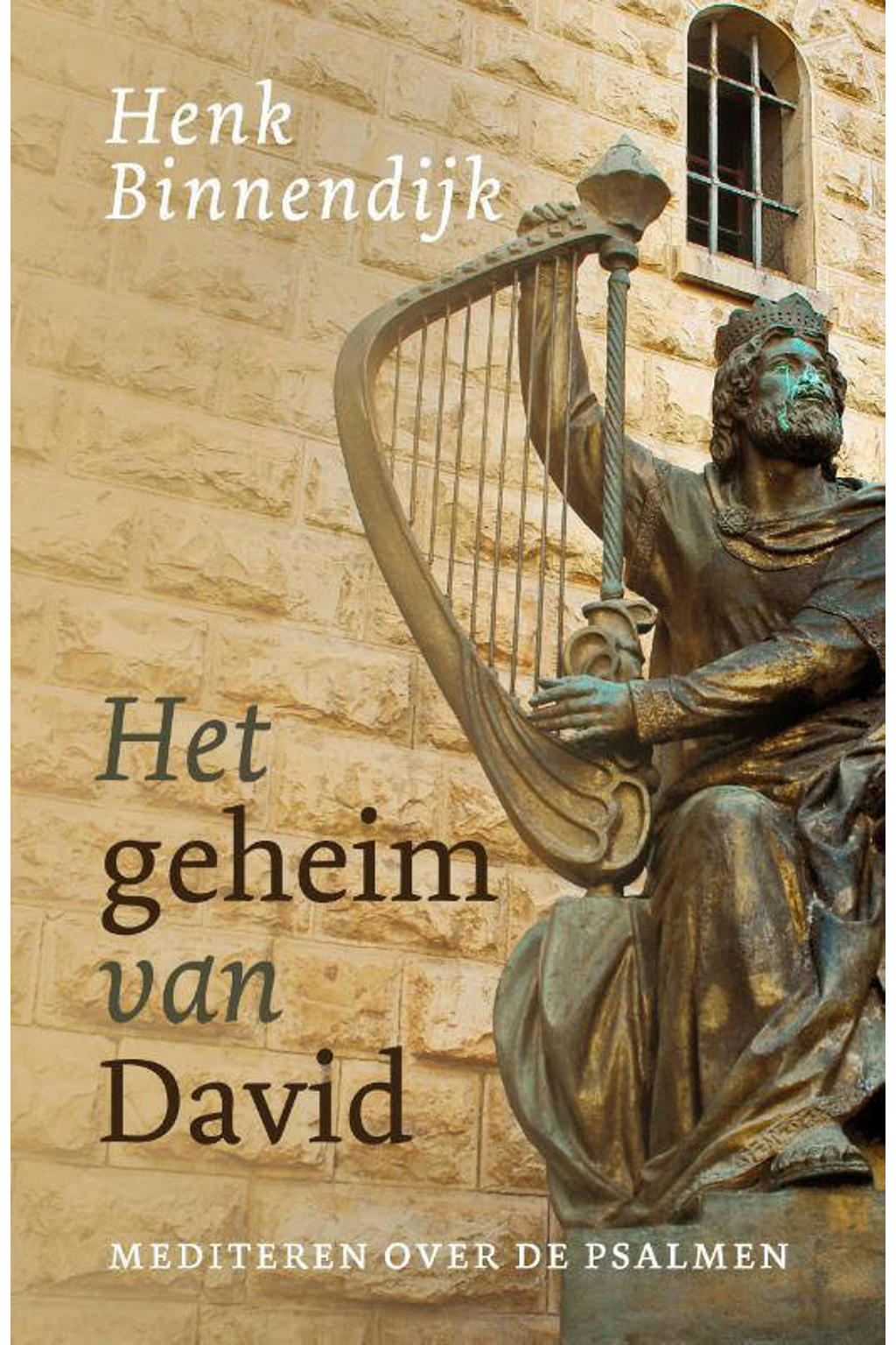 Henk Binnendijk Het geheim van David | wehkamp