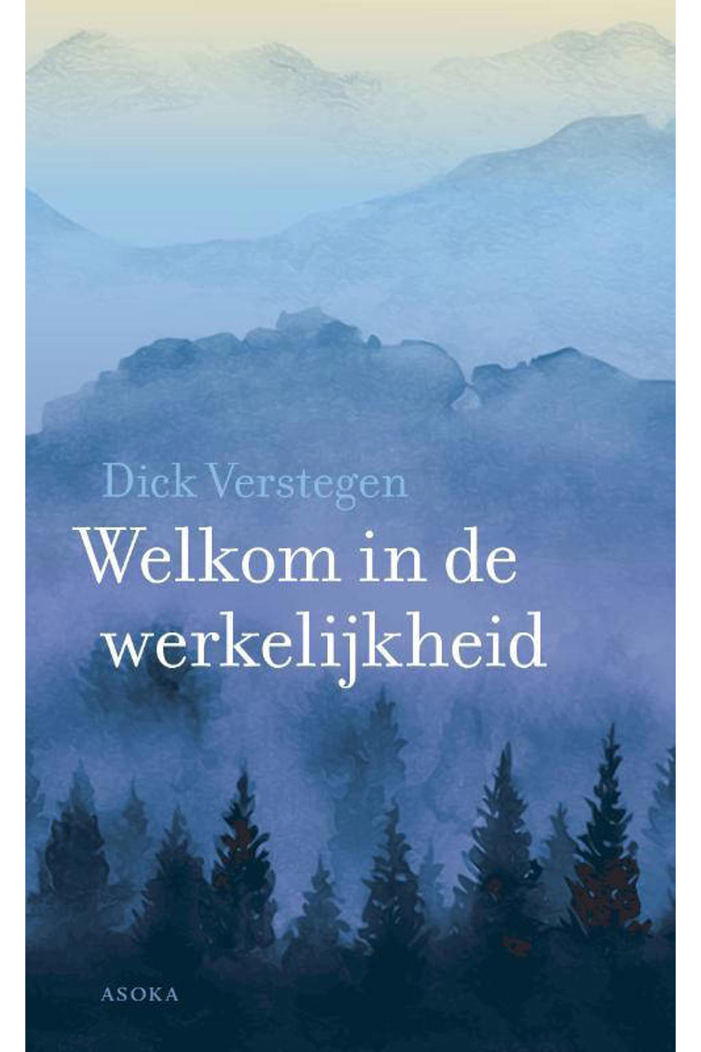 Dick Verstegen Welkom in de werkelijkheid | wehkamp