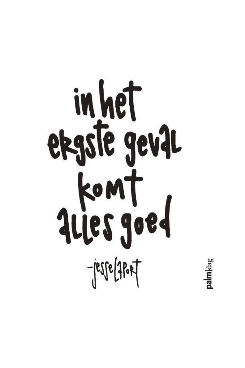 Jesse Laport In het ergste geval komt alles goed | wehkamp