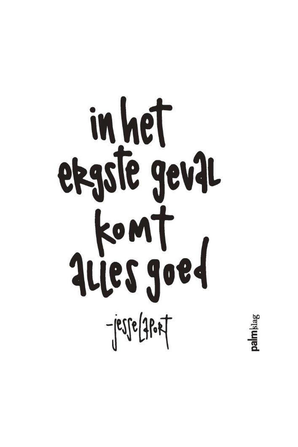 Jesse Laport In het ergste geval komt alles goed | wehkamp