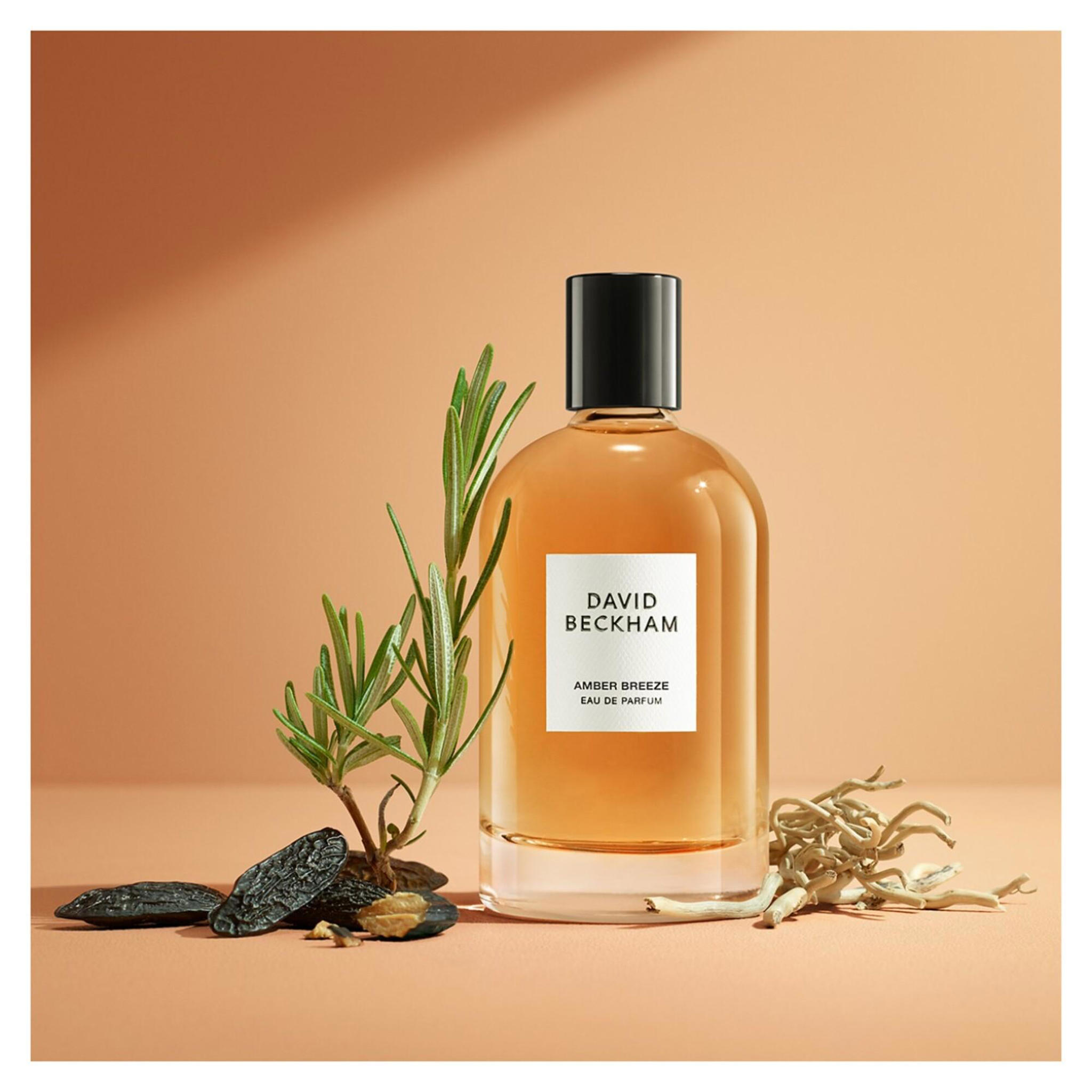 David Beckham Amber Breeze eau de parfum - 100 ml | wehkamp