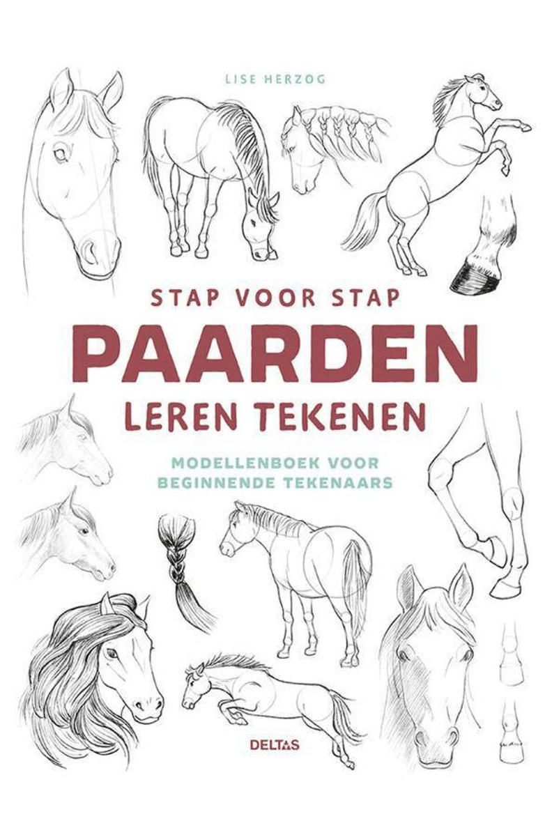 Lise HERZOG Stap voor stap paarden leren tekenen | wehkamp