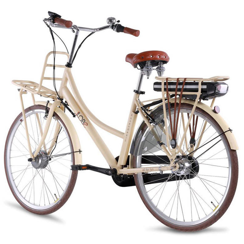 Llobe Rosendaal elektrische damesfiets, transport, 50 cm, Nxs 7, 15,6 ...