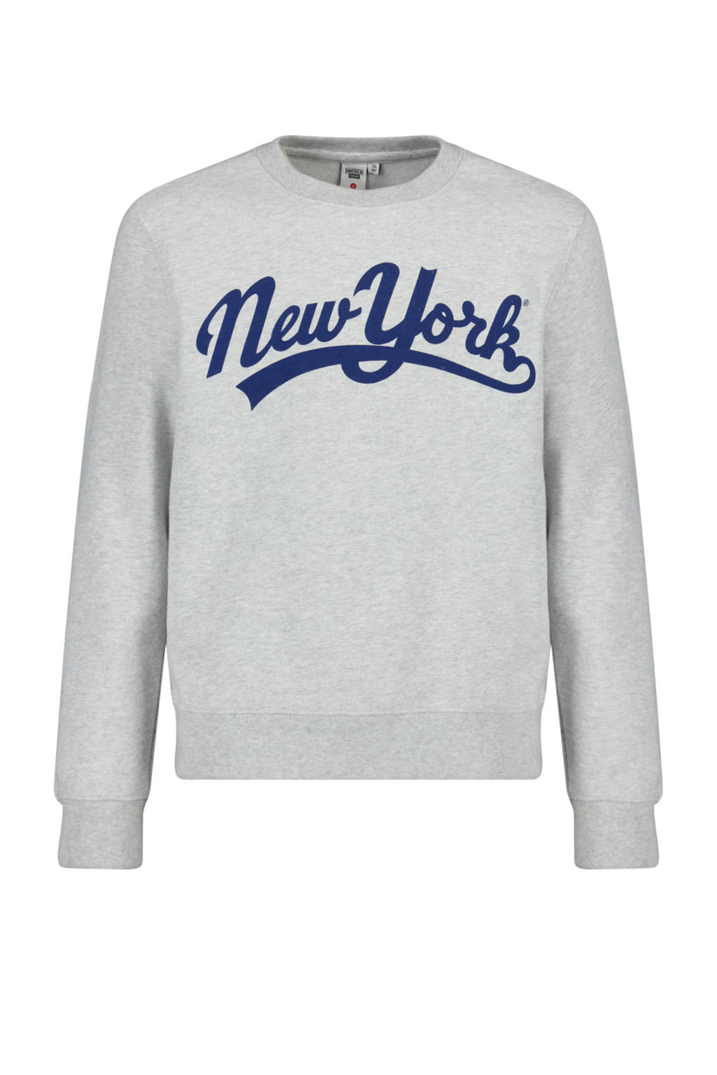 America Today sweater Seth crew Jr met printopdruk grijs melange/blauw ...