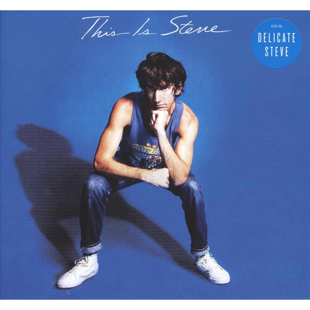 Delicate Steve - This Is Steve (LP) | wehkamp
