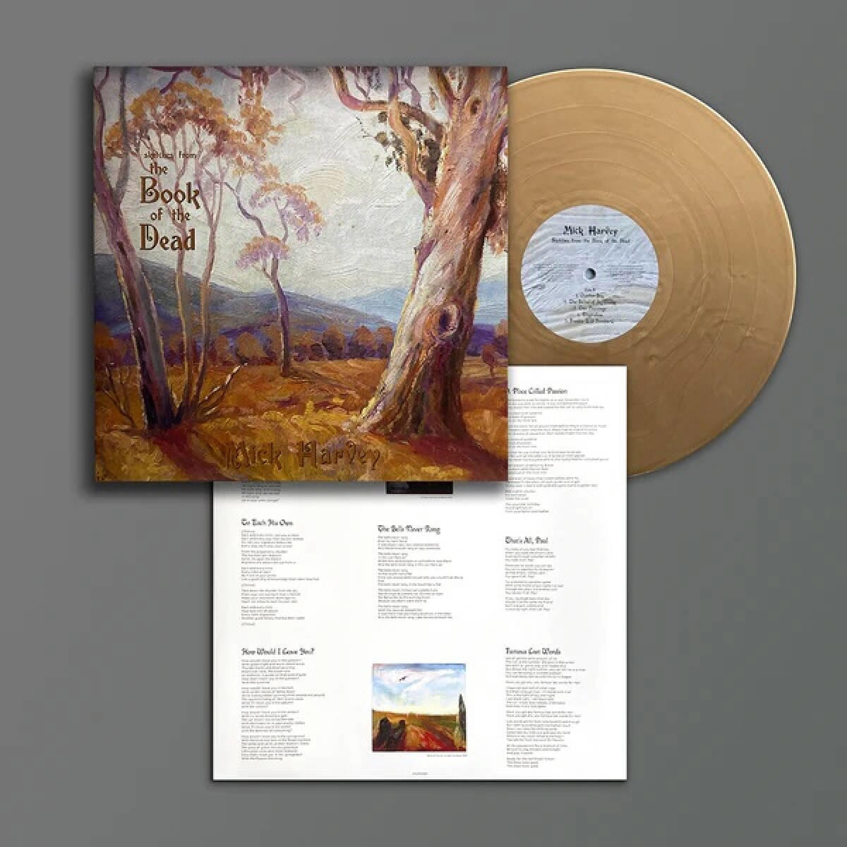 Mick Harvey - Sketches From The Book Of The Dead (LP) | wehkamp