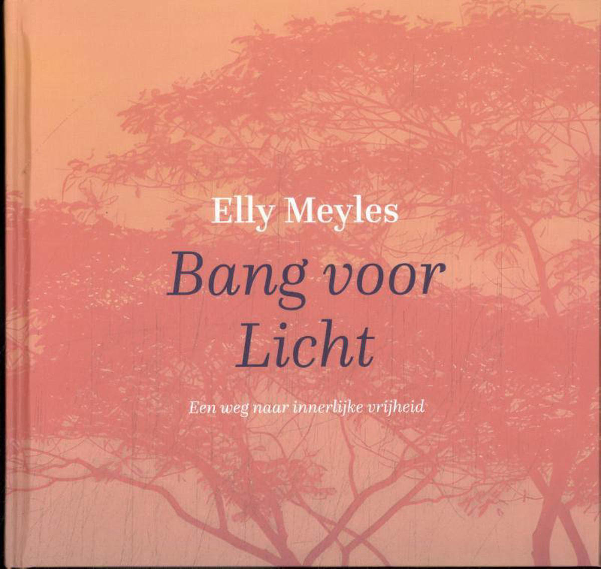 Elly Meyles Bang voor licht kopen? | Morgen in huis | wehkamp