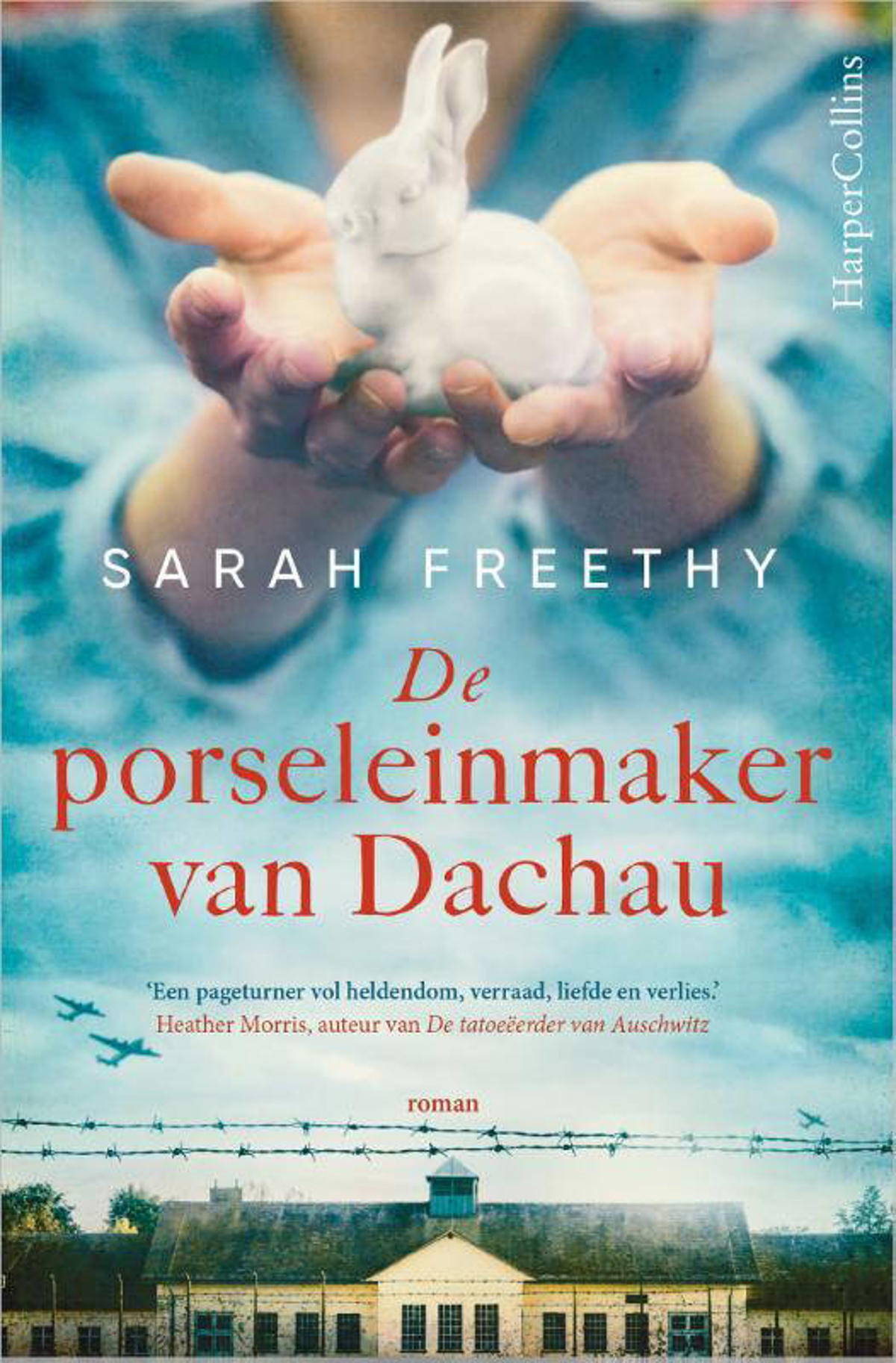 Sarah Freethy De porseleinmaker van Dachau | wehkamp