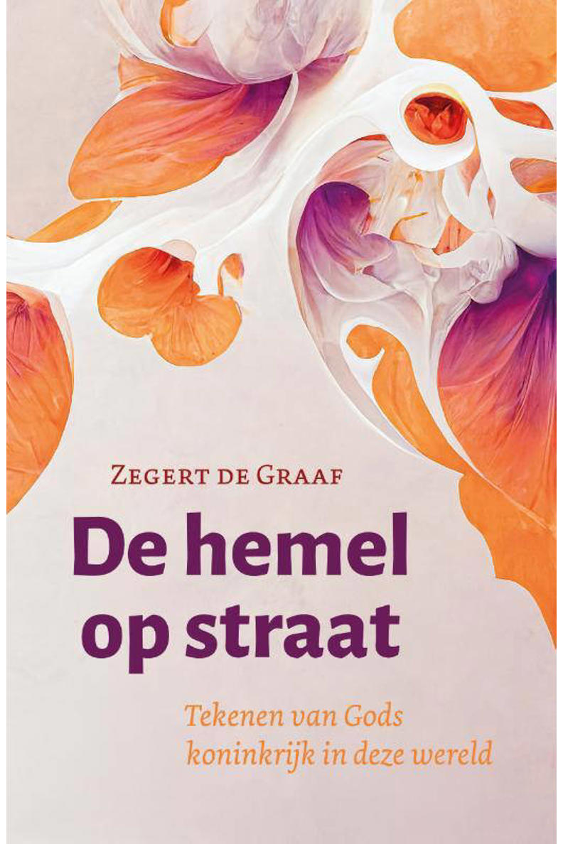Zegert de Graaf De hemel op straat | wehkamp