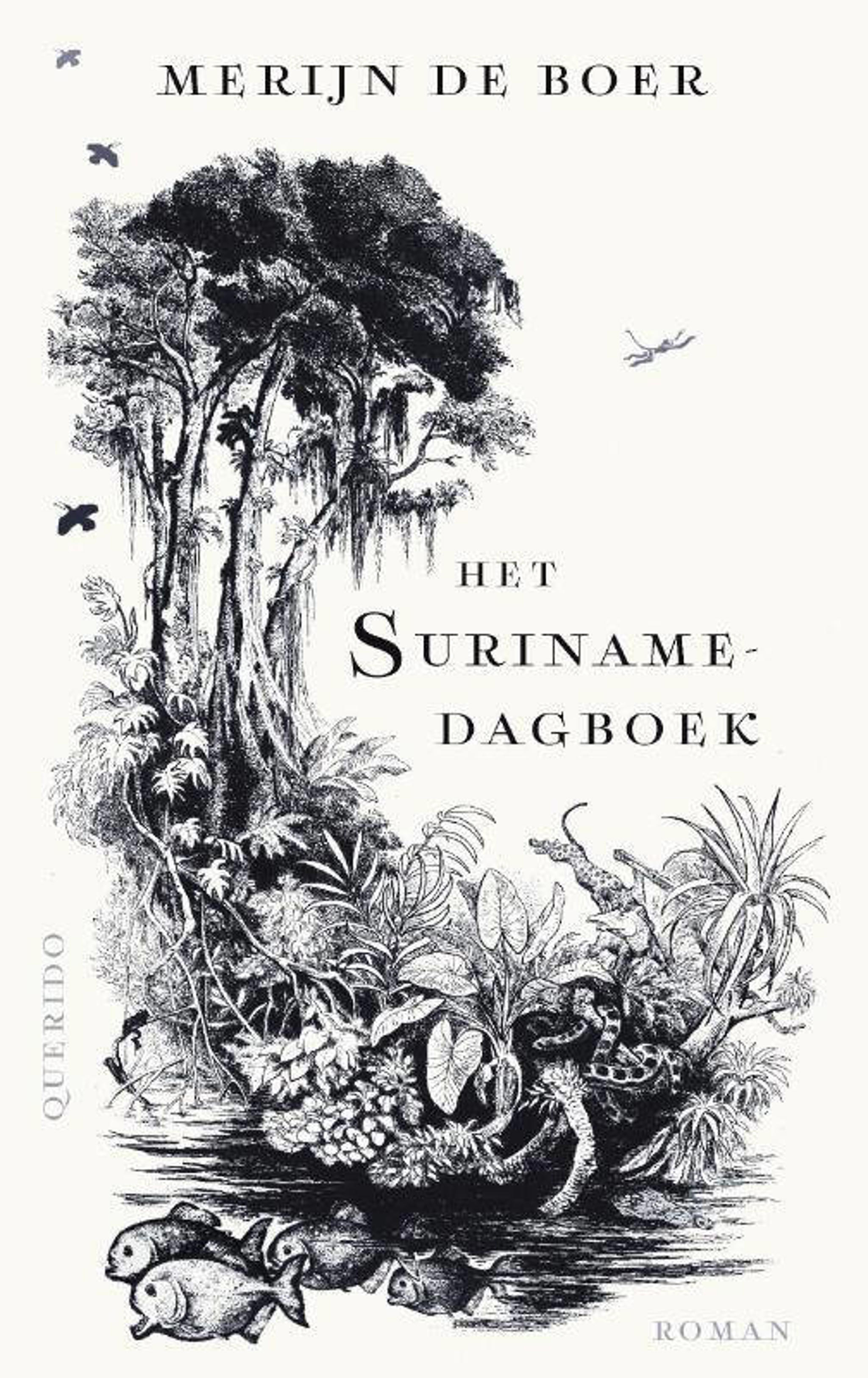 Merijn de Boer Het Surinamedagboek | wehkamp