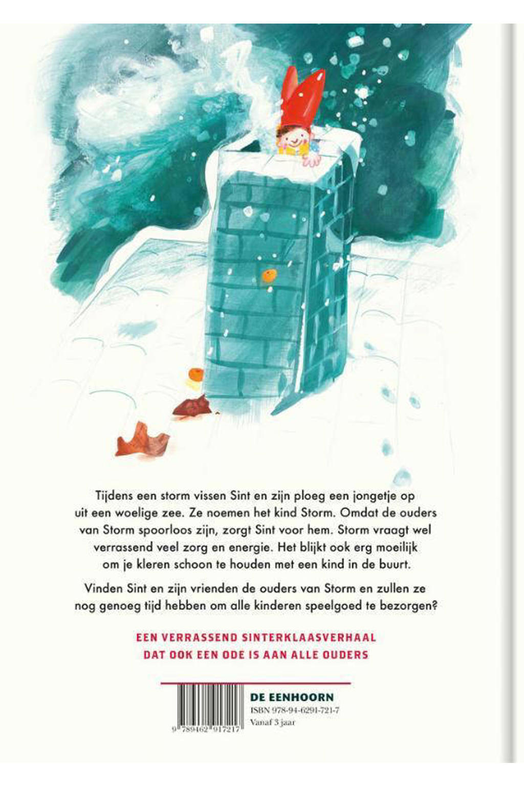 Walter Baele Sint redt een kind | wehkamp