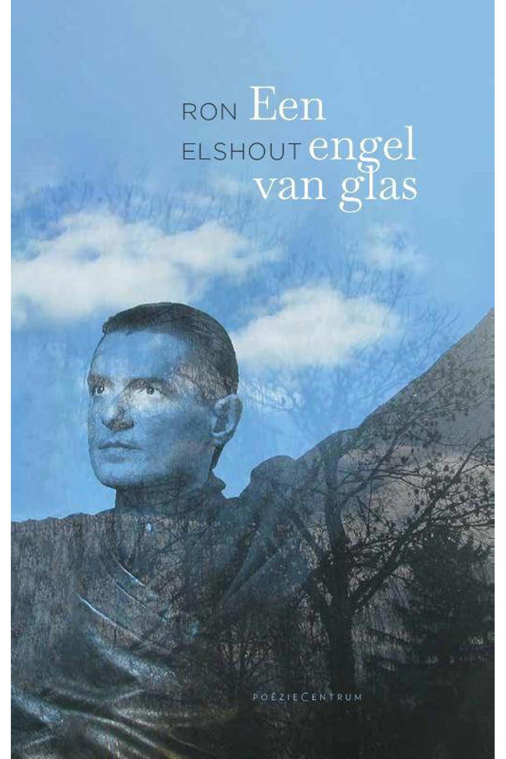 Ron Elshout Een engel van glas | wehkamp