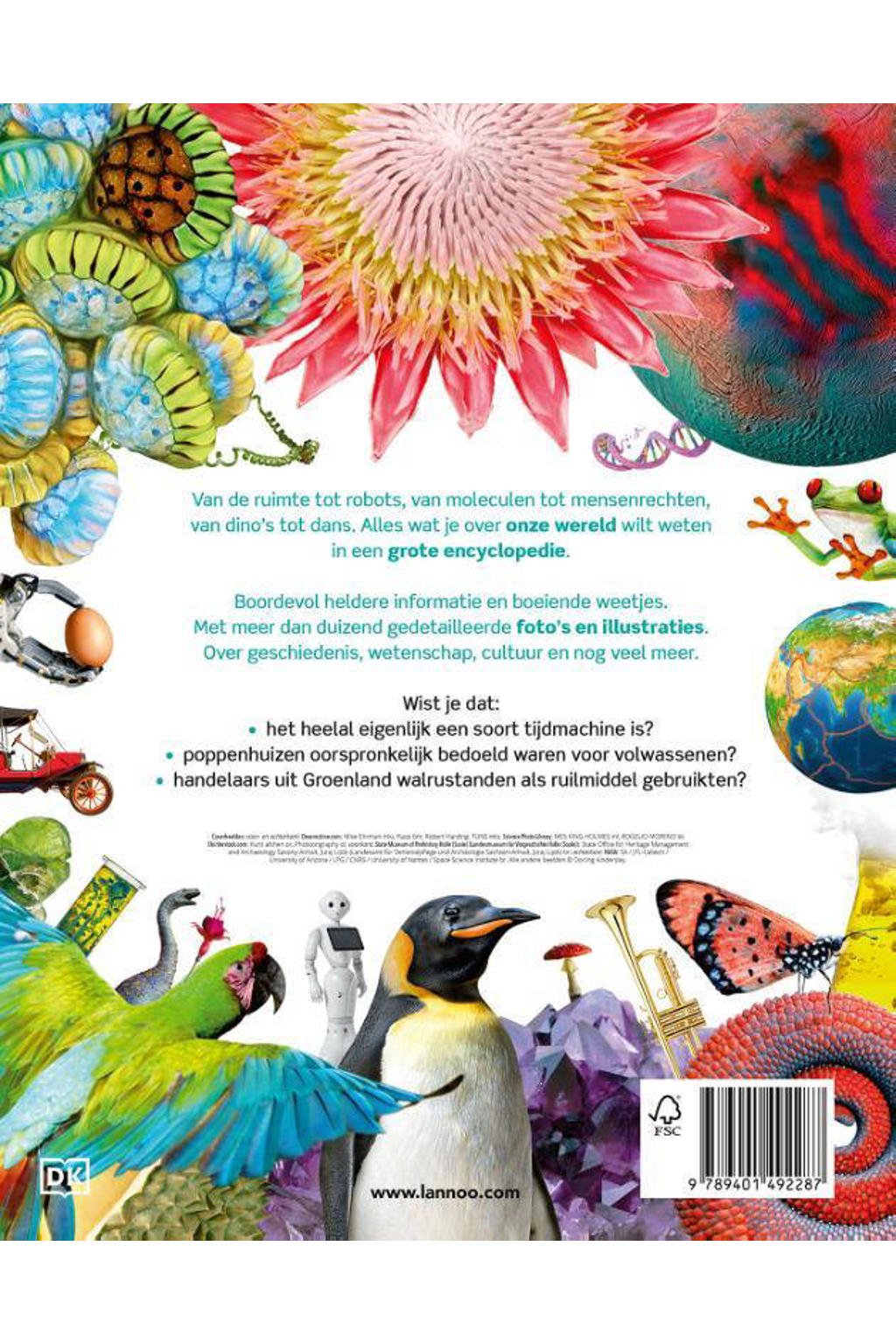 Onze wereld in beeld kopen? | Morgen in huis | wehkamp