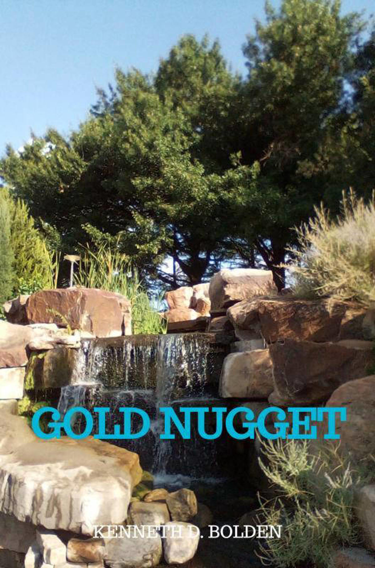 Kenneth D. Bolden Gold Nugget | wehkamp