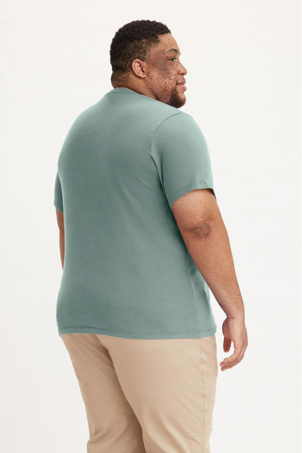 Levi's Big and Tall regular fit T-shirt Plus Size met logo dark forest ...