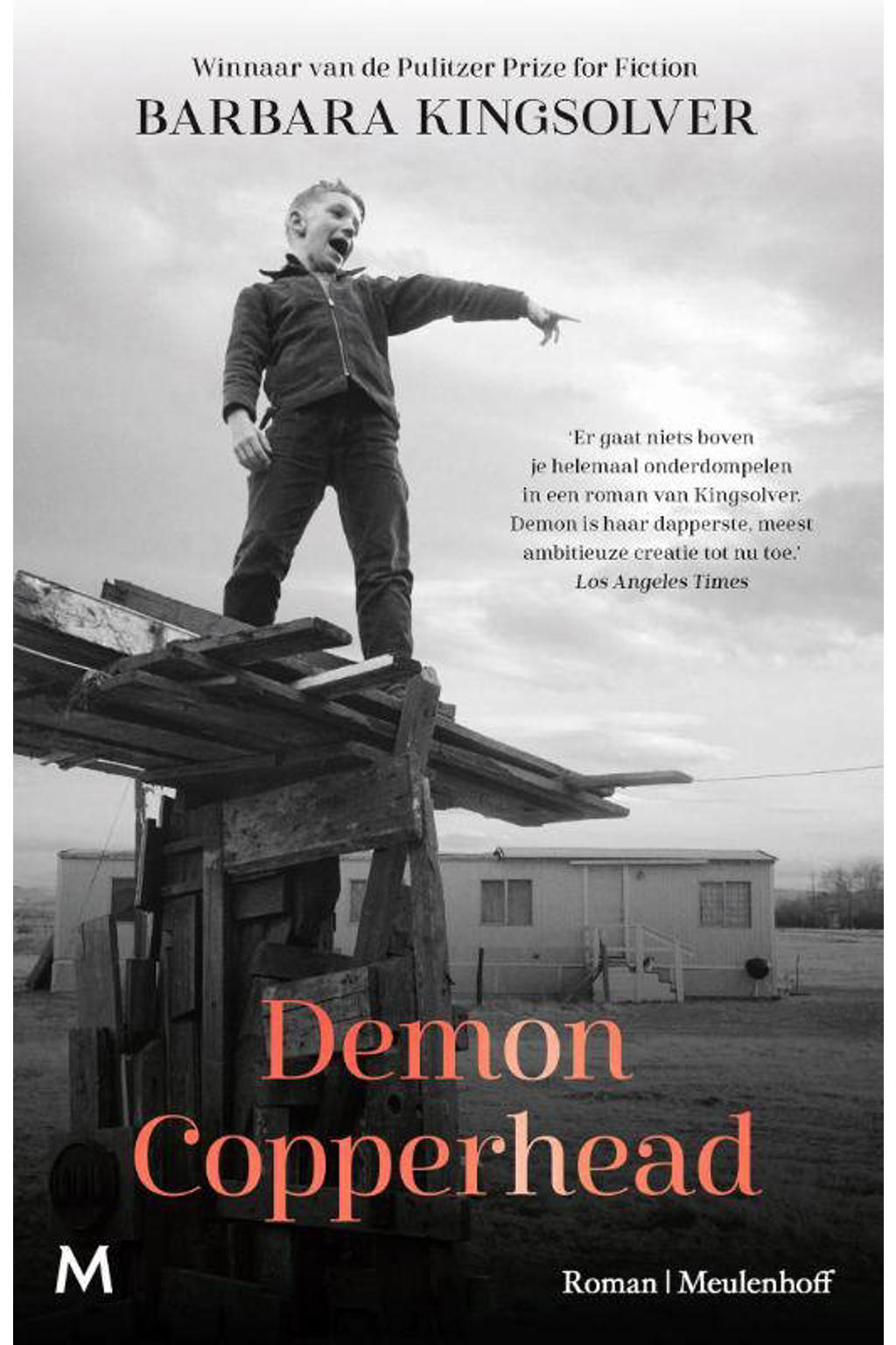 Barbara Kingsolver Demon Copperhead | wehkamp