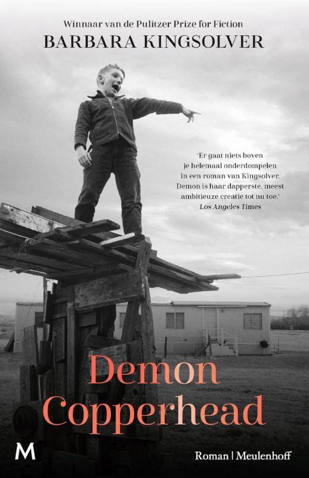 Barbara Kingsolver Demon Copperhead | wehkamp