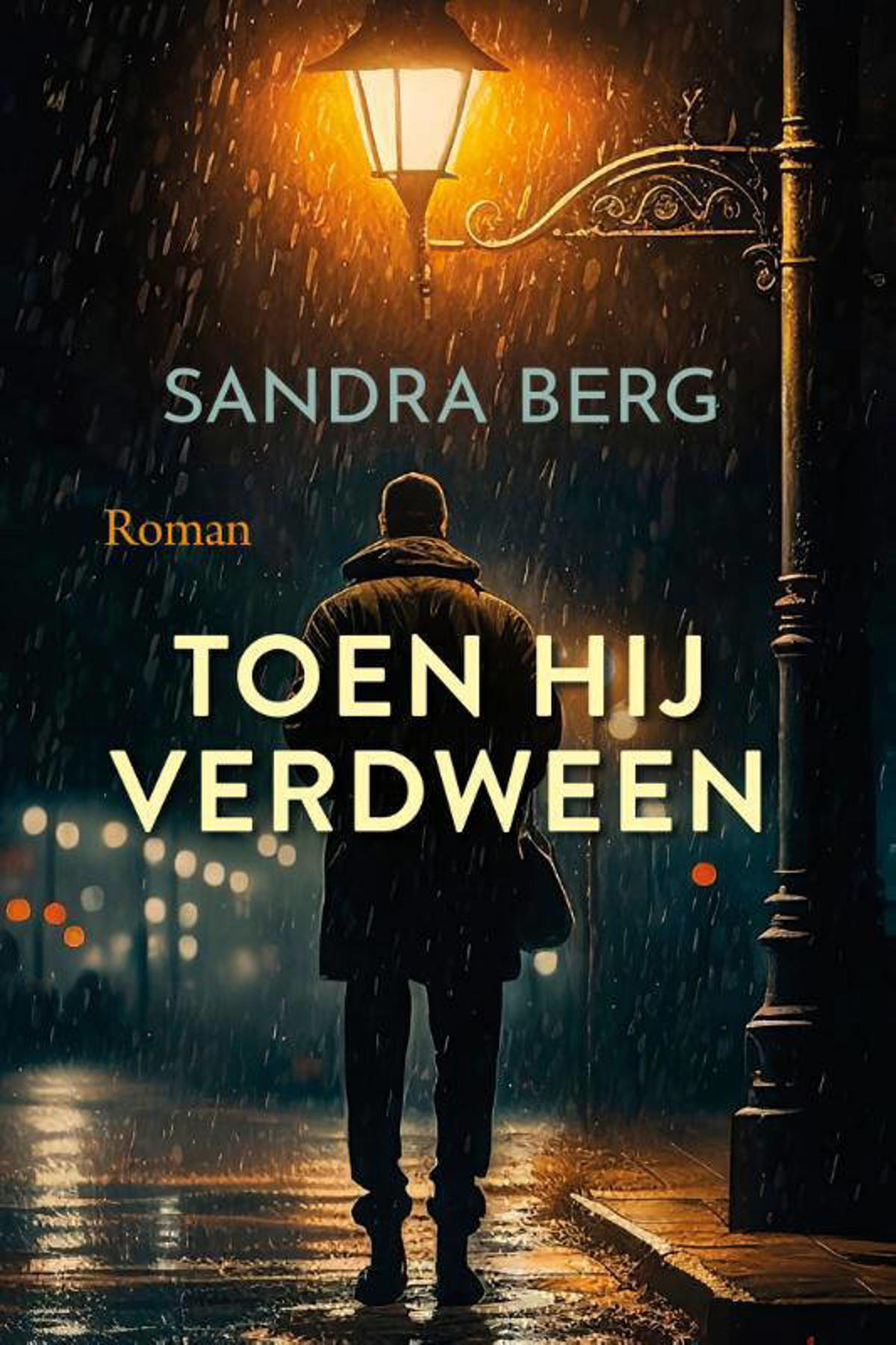 Sandra Berg Toen hij verdween | wehkamp