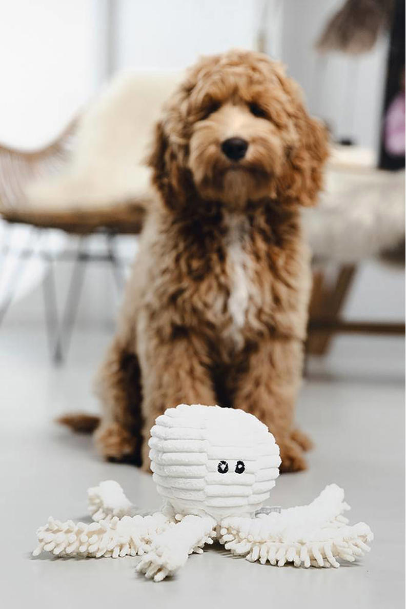 Beeztees eco hondenspeeltje octopus Okki (26 cm) beige fluffy | wehkamp