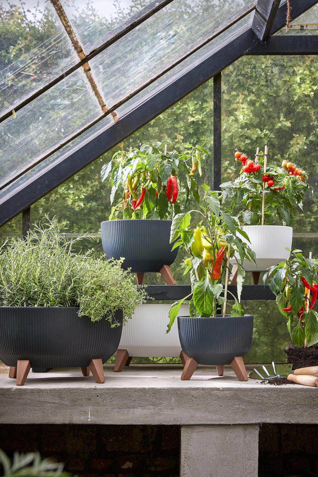 Mica Decorations schaal Doppio | wehkamp