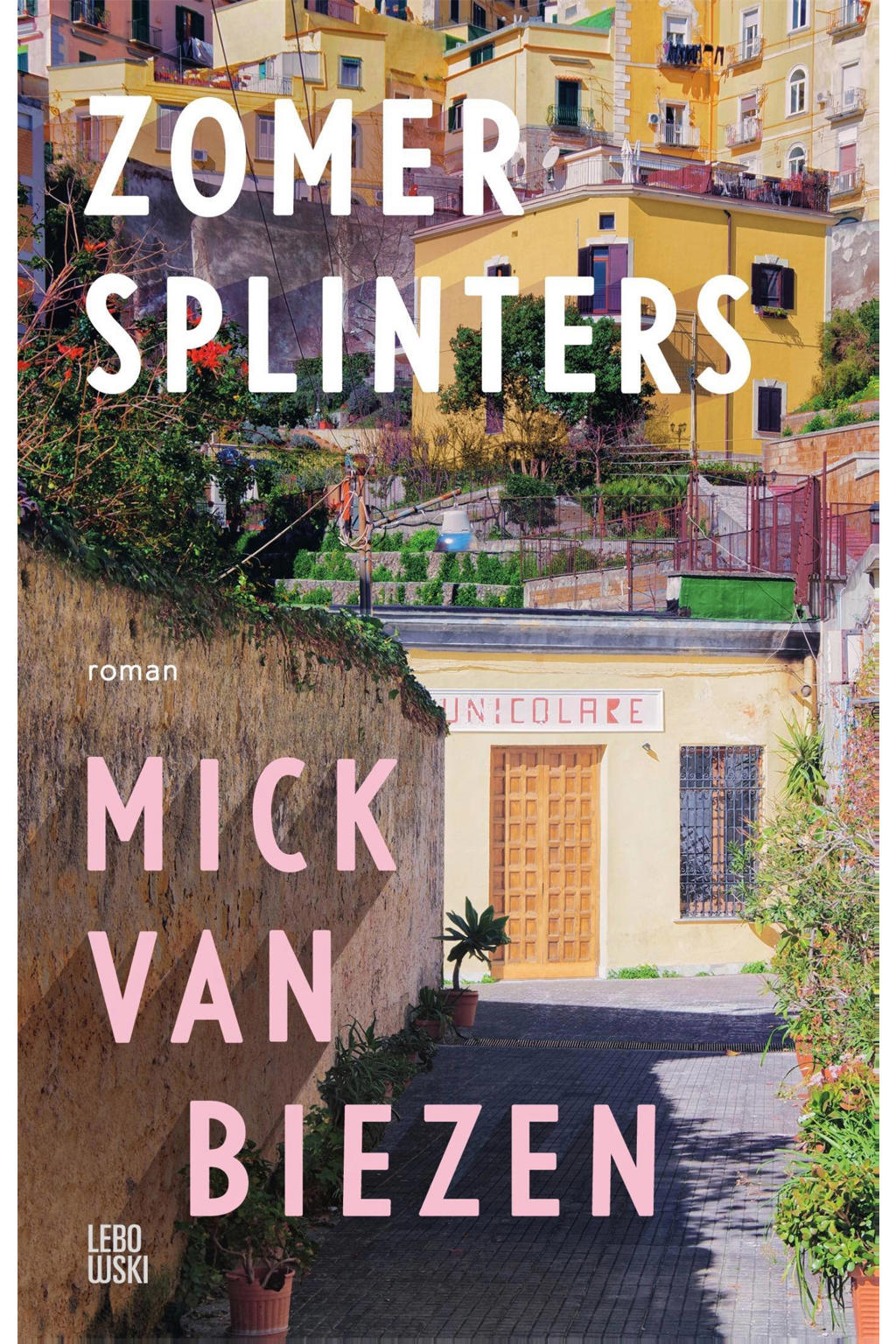 Mick van Biezen Zomersplinters | wehkamp