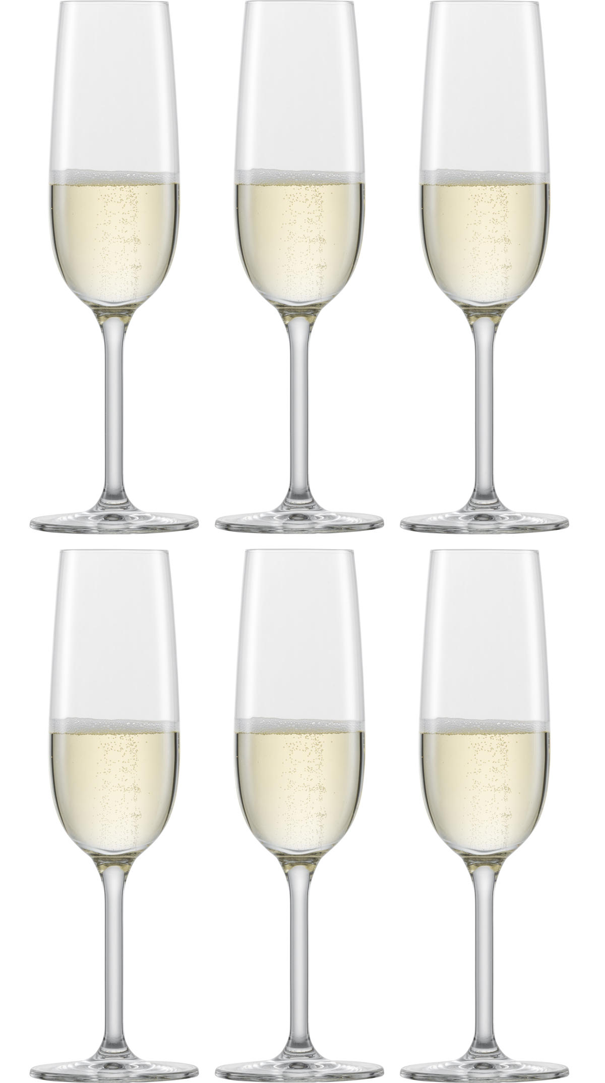 Schott Zwiesel Champagneglazen Banquet - 210 ml - 6 stuks | wehkamp