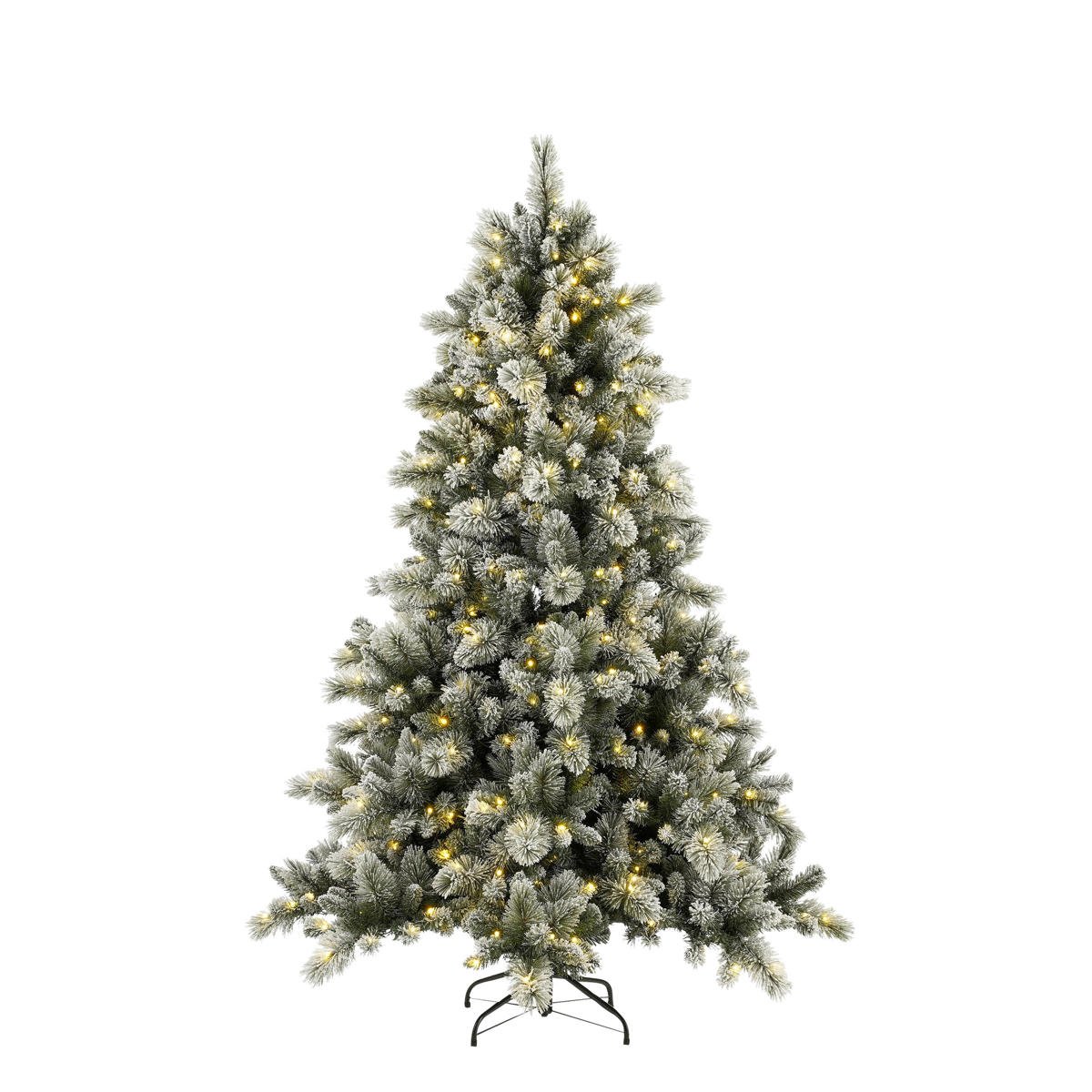 Black Box Trees verlichte kerstboom Napier (h215xø145 cm) | wehkamp