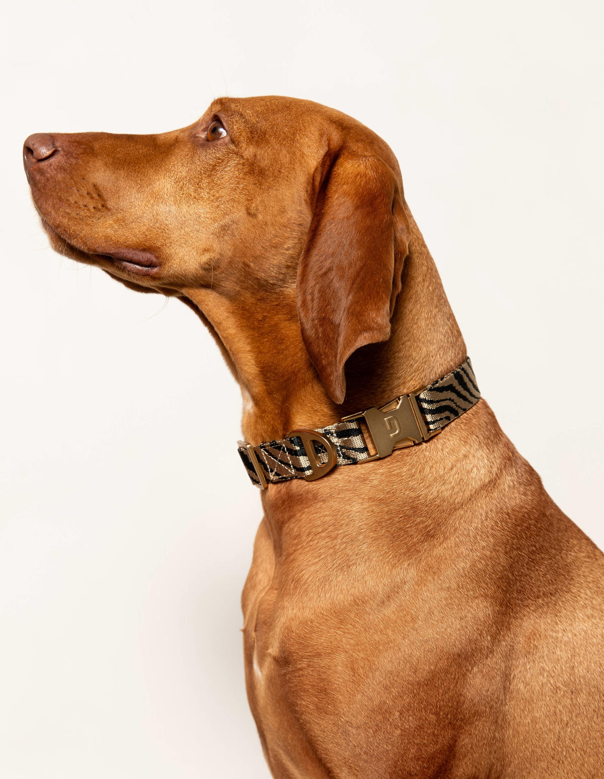 Dogguo hondenhalsband ZEBRA-COLLAR-BEIGE/BLACK-L | wehkamp