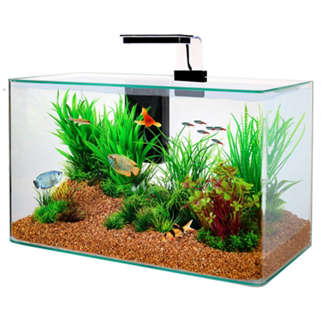 Zolux Aquarium Clear Kit Zwart 50 x 25 x 38 cm | wehkamp