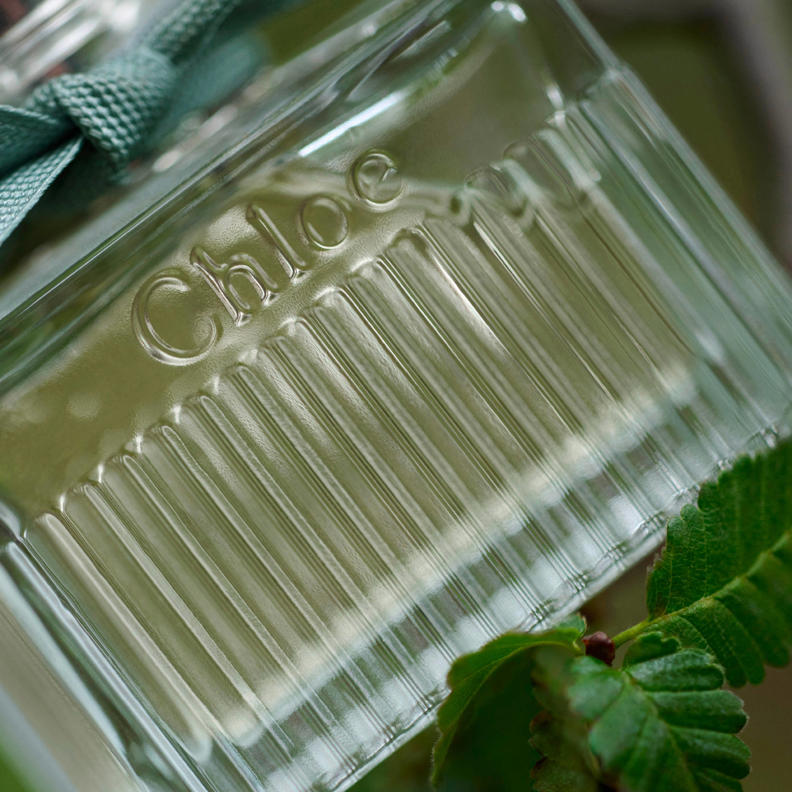 Chloé Rose Naturelle Intense eau de parfum - 50 ml | wehkamp